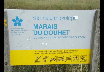 Marais du Douhet - Balades et randonnées